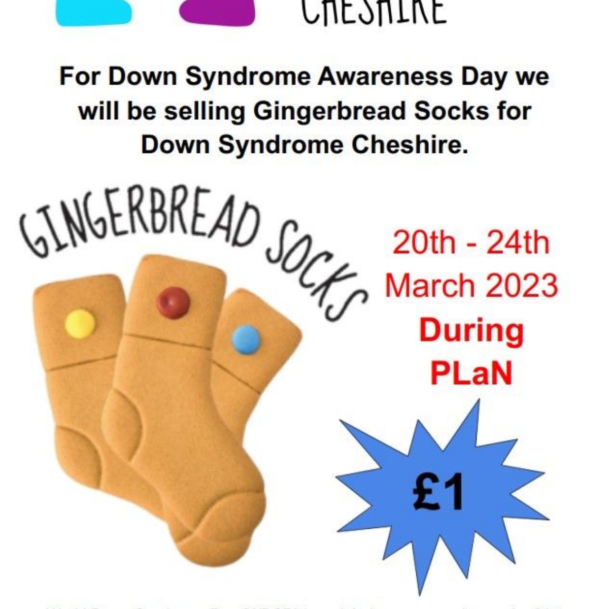 Upton-by-Chester High School - Gingerbread Socks